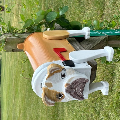 Shark Mailbox, Great White Shark, Mail Box, Shark Mail Box, Water Life ...