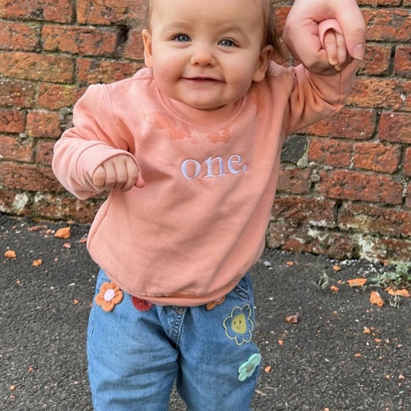 Personalised Birthday Jumper, Embroidered, 1st Birthday Top, 2nd ...