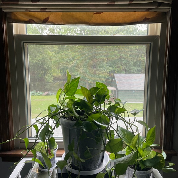 High Quality Clear Transparent Plant Pots With Good Drainage Planter ...