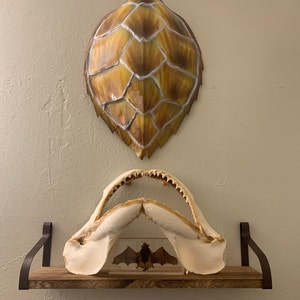 Flying Fish Half-side Fish Mount - Etsy