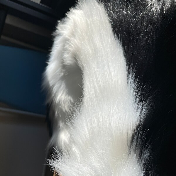 5-finger Webbed Handpaw Pattern - Etsy