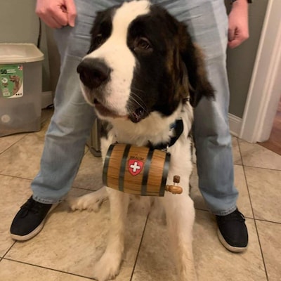 Saint Bernard Barrel With Decal and Engraving - Etsy