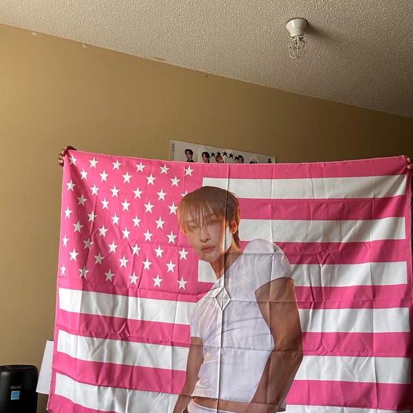 Ain't No Party Like A Diddy Party Funny Flag Tapestry, Meme Flag ...