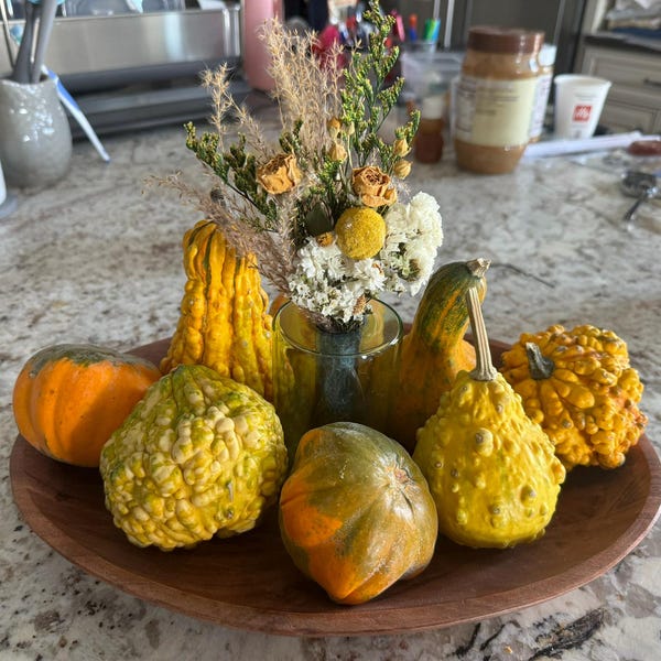 Pampas Grass Bridal Hair Comb, Bohemian Wedding Hair Comb, Neutralcream ...