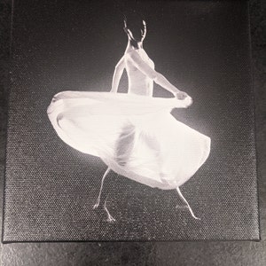 Shibari 3 B N W Gloss Print Shibari Photography Japanese Sex Art ...