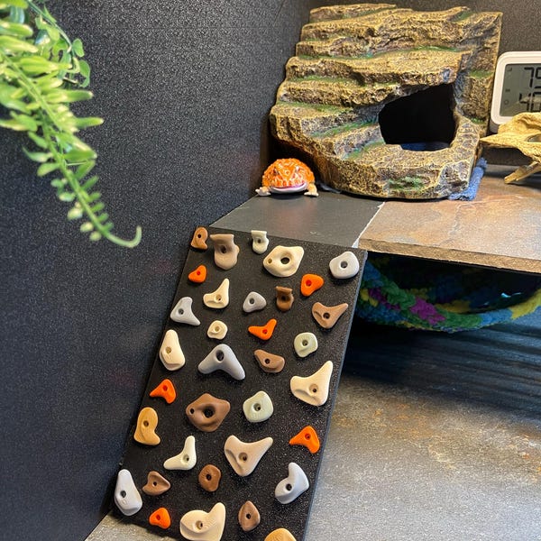 8”x8” 3D Printed Climbing Wall PANEL for Bearded Dragons & Other ...