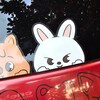 Stray Kids SKZOO Peeker Car Stickers - Etsy
