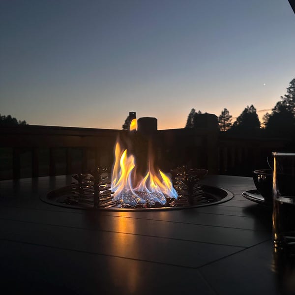 Metal Pinecone | Fire Pit Pinecone | Fall Decor Metal Pine Cone | Steel ...