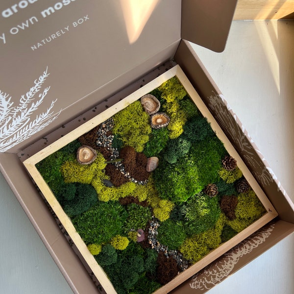 DIY Zen Garden Kit, Desktop Zen Garden, Therapy, Gift for Him, Gift for ...