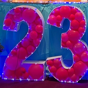 Pink Cowgirl Balloon Garland 99pcs Last Rodeo Balloons Arch - Etsy