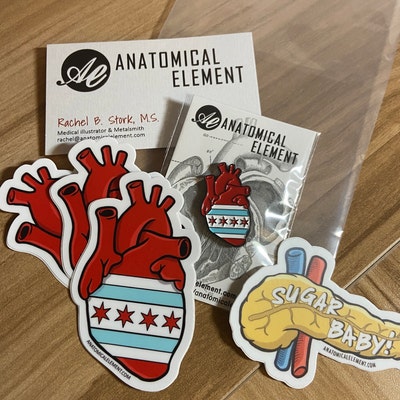 Chicago Flag Anatomical Heart Die Cut Sticker - Etsy