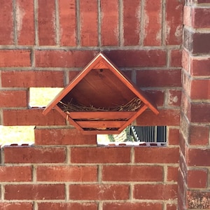 Birdhouse Predator Guard 1-1/2 Bluebirds / House Finches - Etsy