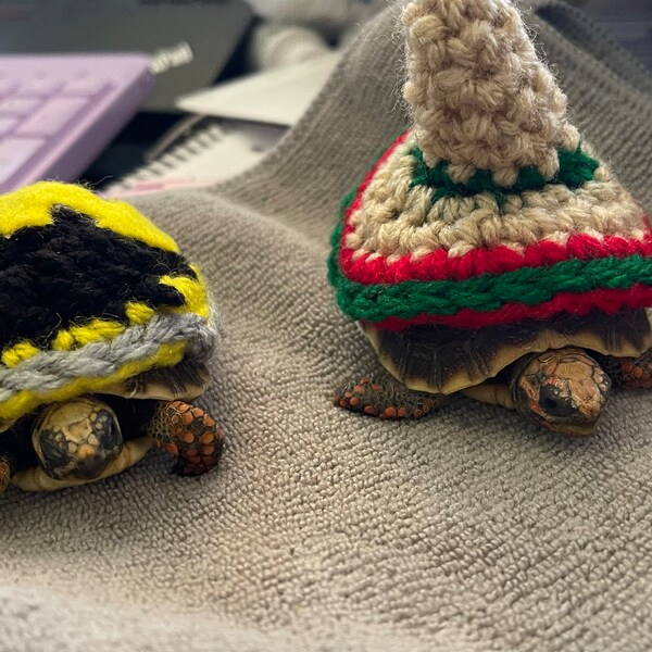 Mariachi Sombrero Turtle/tortoise Costume - Etsy