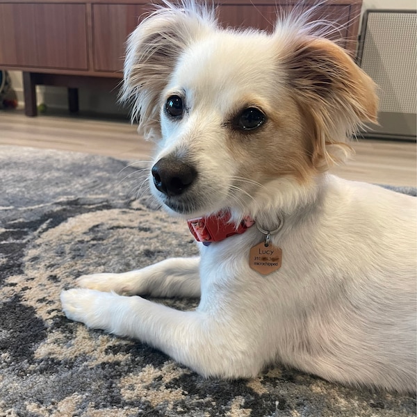 QR Code Pet Tag • Scannable Pet Tag • Digital ID Tag • Custom Pet Tag ...