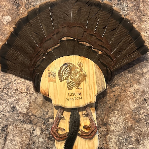 DIY Turkey Fan Mount/beard/spur/unique Turkey Fan Mount/fathers Day ...