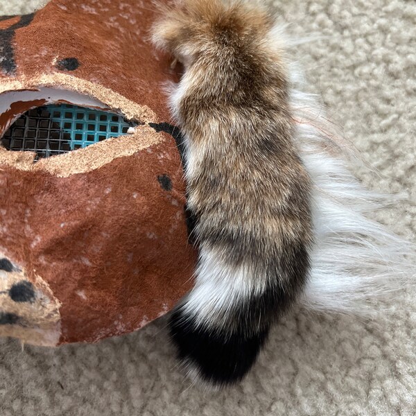 Genuine Bobcat Tail Keychain (CHOOSE SIZE) - Etsy