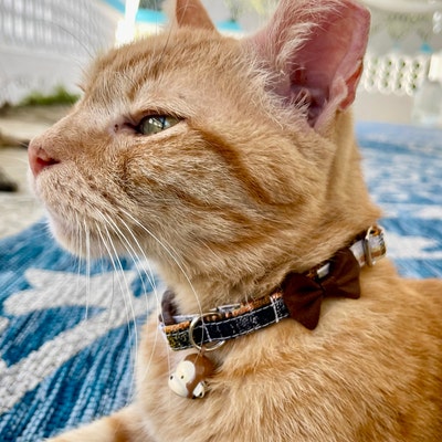 Fall Cat Collar Breakaway Collar With Bell, Custom Made Cat Collar - Etsy