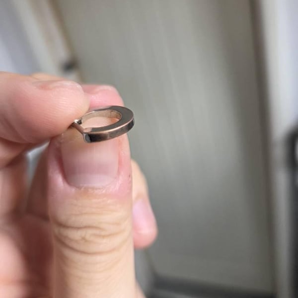 Prince Albert Curved Bar Piercing 4g (5mm) Prince Albert Large Gauge ...