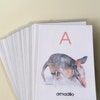 Animal Alphabet Flash Cards Watercolor Animals ABC - Etsy