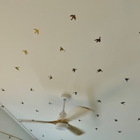 Cat Car Window Decal Car Decal, Window Decal, Car Stickers, Laptop ...