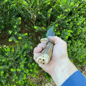 Octopus the Handle for the Knife Handle for Elk Horn - Etsy