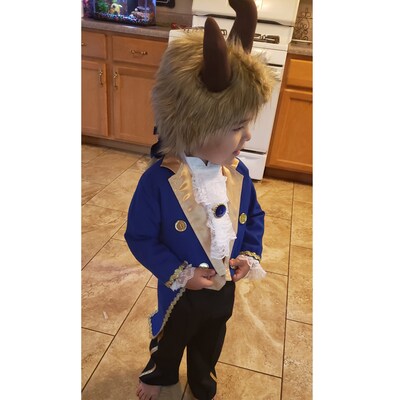 Beast Costume BLUE Tuxedo Jacket Prince Costume Tailcoat Beauty and the ...