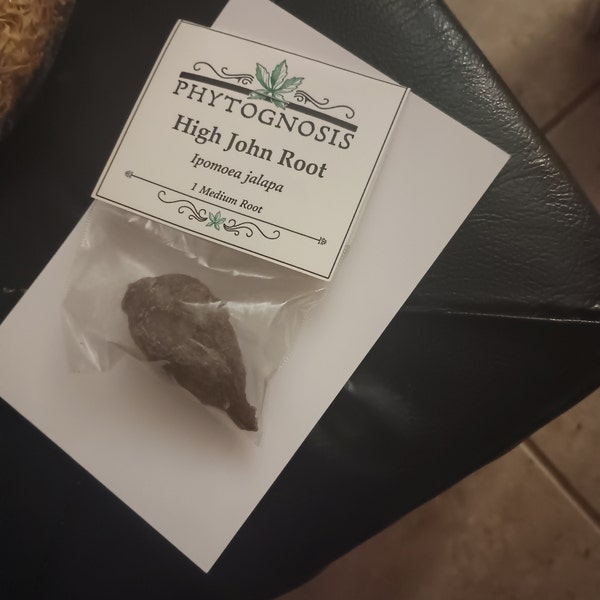 High John Root - Etsy