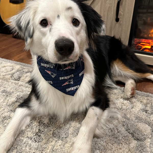 Scrunchie Dog Bandana Pattern - Dog Bandana Pattern With Elastic ...