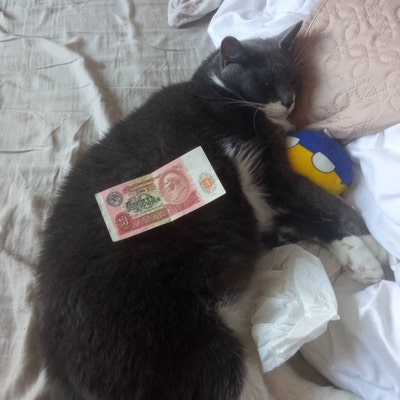 Soviet Chess Badge Rare Chess Pin Ussr Chess Rare Badge Pin - Etsy