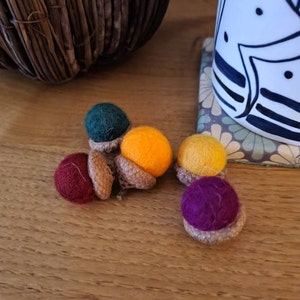 Dried Conkers Conkers in Shells dried Natural Conkers | Etsy