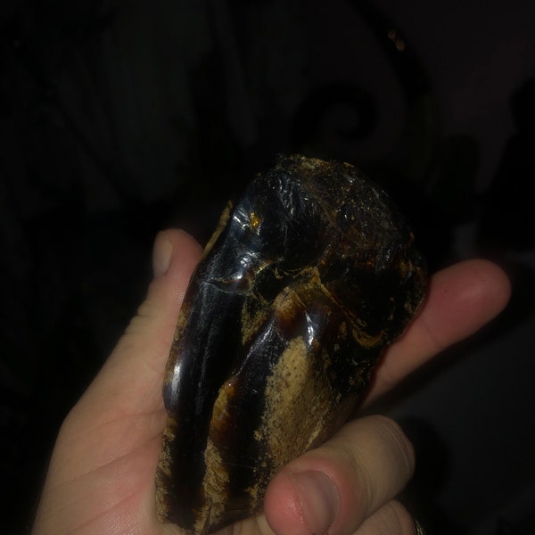 Whitby Jet Polished Whitby Jet Rough Whitby Jet Jet Stone Jet Palm ...