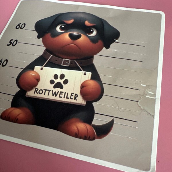 Stitch Graduation Sticker, Graduation 2025 Sticker, Kindergarten Grad ...