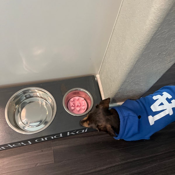 Custom Insert Slow Feeder Dog Bowl - Etsy