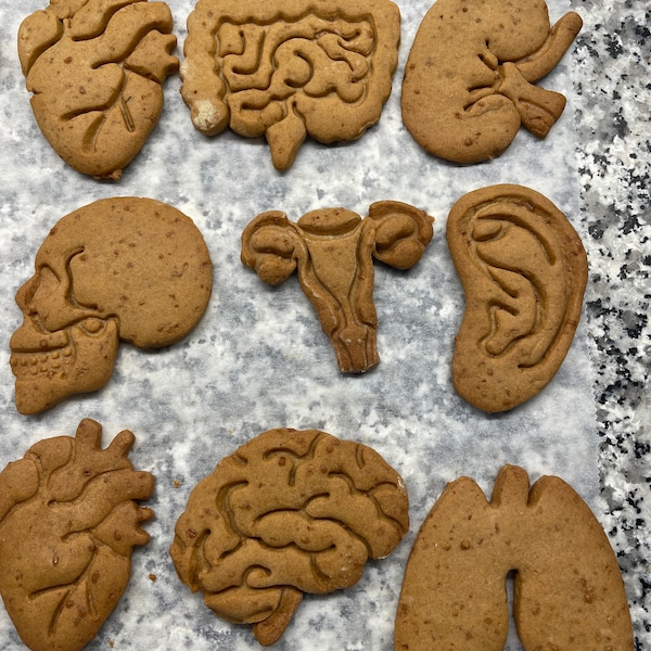 Anatomy Cookie Cutter Set - Medical Student Gift Anatomical Heart ...
