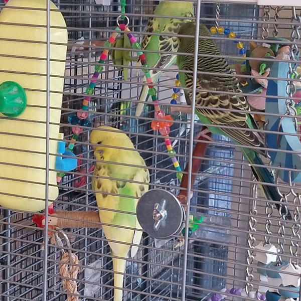 BIRD TOY: Play GYM With Ladder and Swing - Etsy
