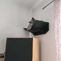 Cat Steps Set 3 Psc. Cat Walk Wall, Cat Steps, Cat Wall Furniture, Cat ...