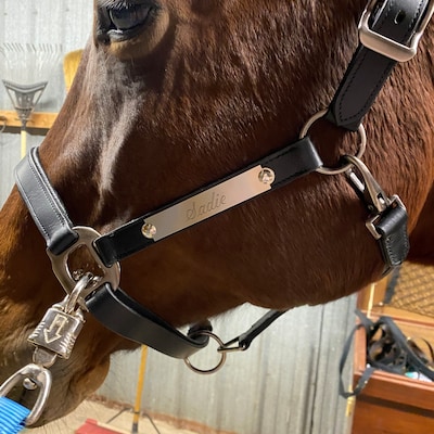 HALTER PLATE XLARGE .032 Solid Brass or .020 Nickel Silver Custom ...