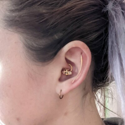316L Stainless Steel 16G Bee Helix Daith Conch Earring/bee - Etsy