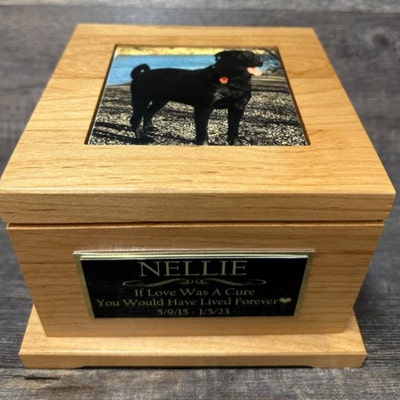 YOU ROCK Rock Star Award Rock on Hand Trophy Funny Trophy - Etsy