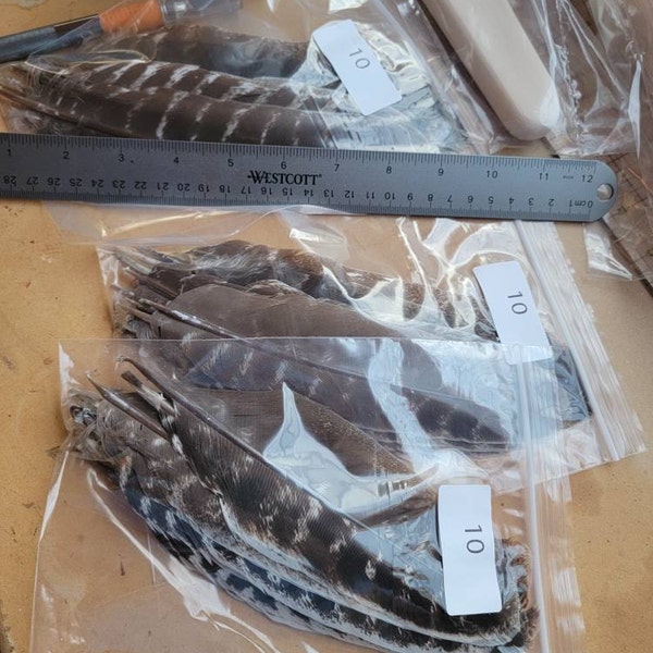 Natural Turkey Feathers, Smudging Feathers, Feathers for Smudging or ...