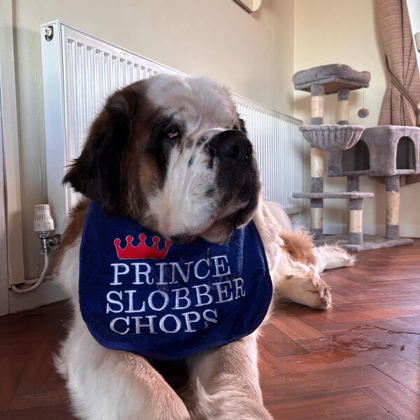 Big Dog Slobber Drool/slobber Bibs 2 Designs - Etsy