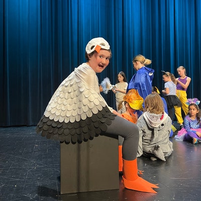 Red-tailed Hawk Costume Set 3 Piece: Wings, Tail and Mask // Eco ...