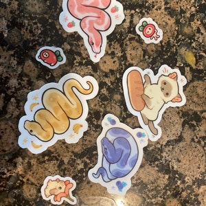 Matching Shell Squad Sticker / Armadillo Sticker / Rolly Polly - Etsy