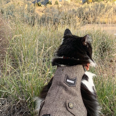 Classic Tweed Cat Walking Jacket. Burgundy Cat Harness. Escape - Etsy