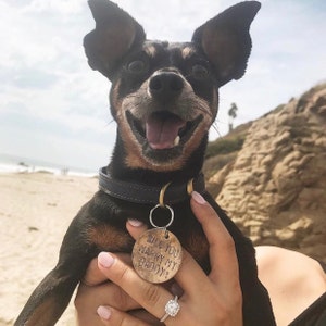 Custom Dog Tag Pet Tag Custom ID Tag Bronze Dog Tag Large Dog Tag XL ...