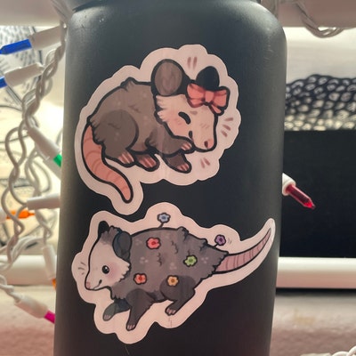 Opossum Sticker Set of 2 / Opossum Blossom and Pretty Possum / Cute ...