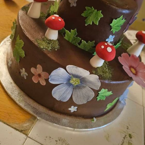 Fondant Red and White Mushroom Cake & Cupcake Toppers - Etsy