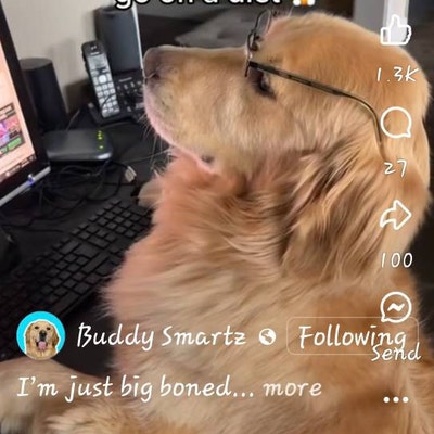 Custom Mailbox Vinyl Decal With Last Name - Etsy