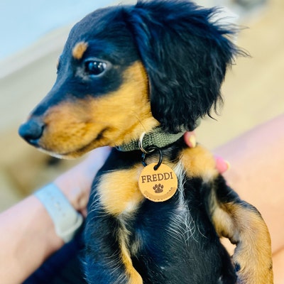 Quiet Dog Tag, Leather Dog Tag, Personalized Leather Dog Tag, Pet ...