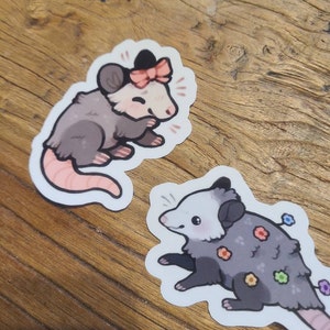 Opossum Sticker Set of 2 / Opossum Blossom and Pretty Possum / Cute ...